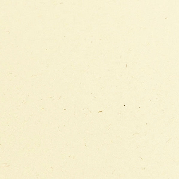 FEDRIGONI WOODSTOCK BETULLA - Shop Online - Immagine – Italian Paper Shop