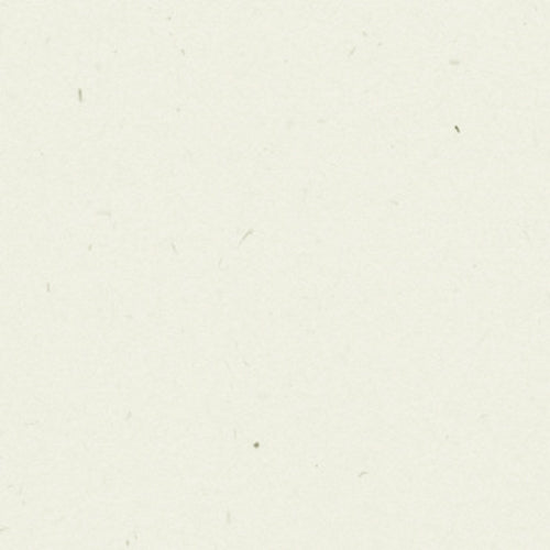 CORDENONS FLORA ANICE - Shop Online - Immagine – Italian Paper Shop